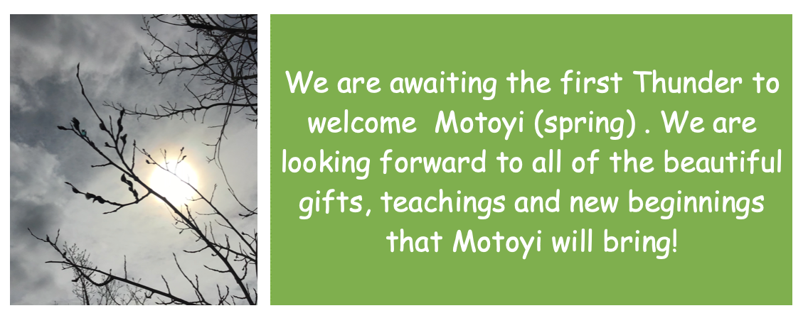 Grade 1 and 2 Learning - Niitsitapi Learning Centre